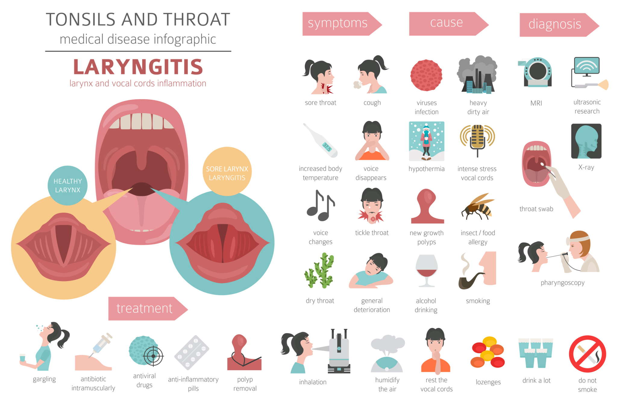 An Overview Of Throat Anatomy | Throat Cleaner